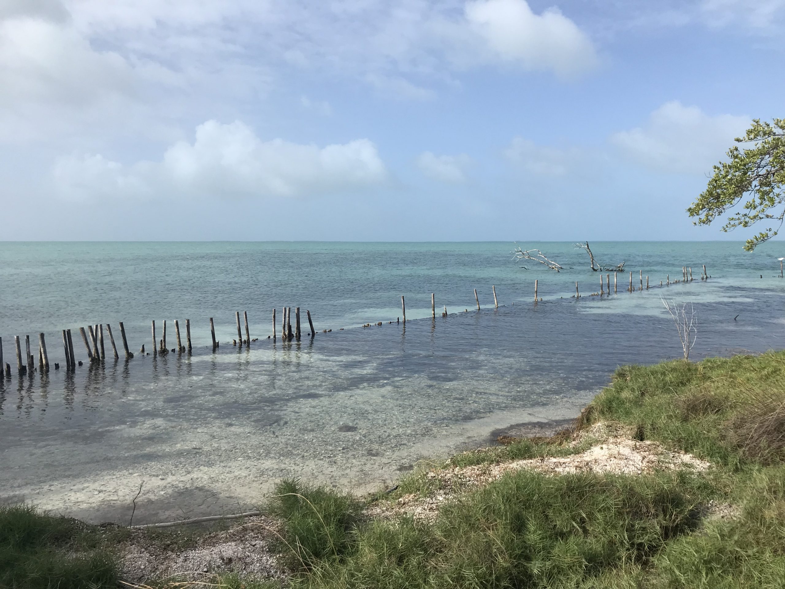 Belize – Coffee Key – Pioneer Media