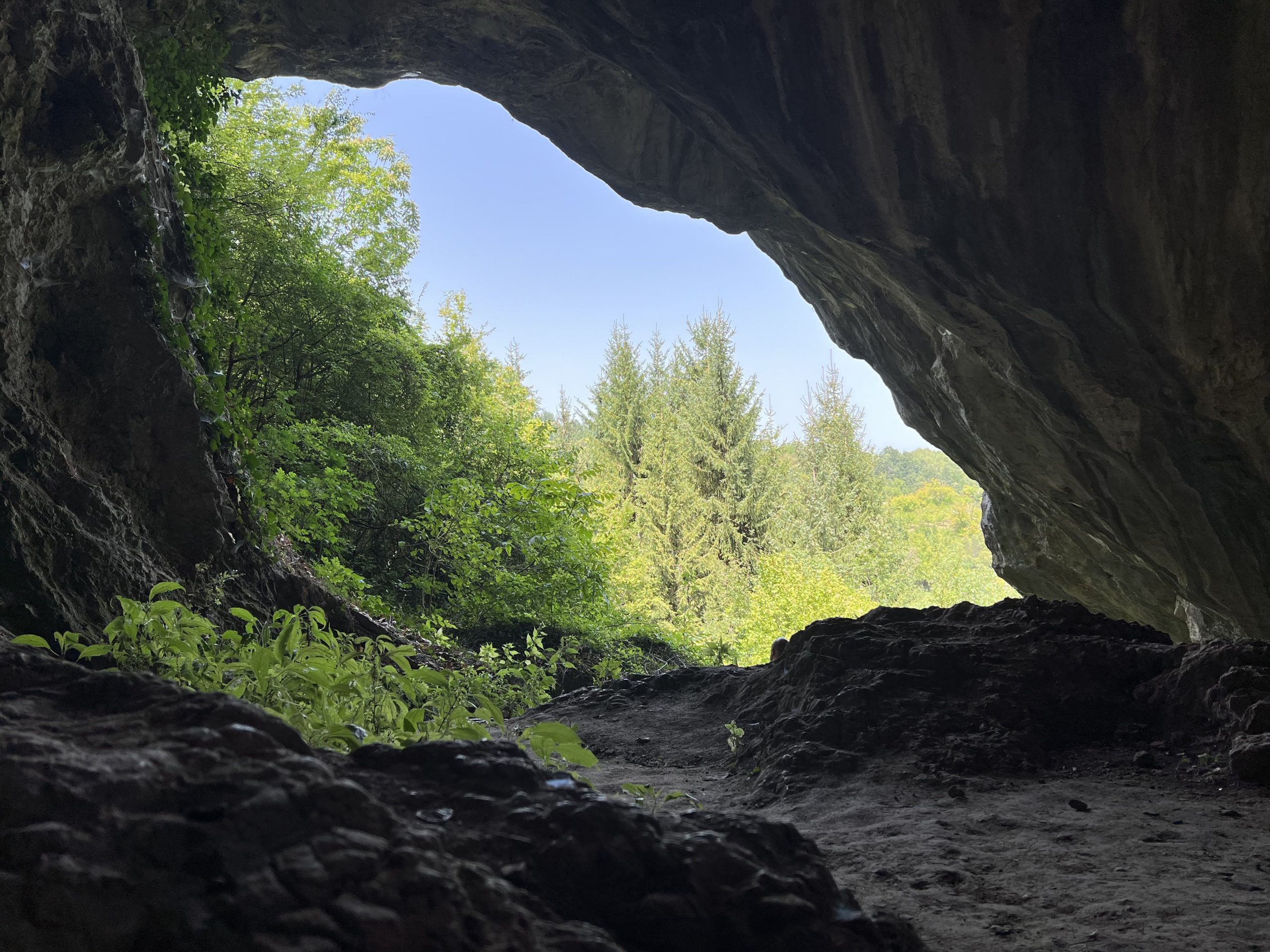 WRAP ON THE LATEST INSTALLMENT IN THE CLASSIC VAMPIRE SERIES ...